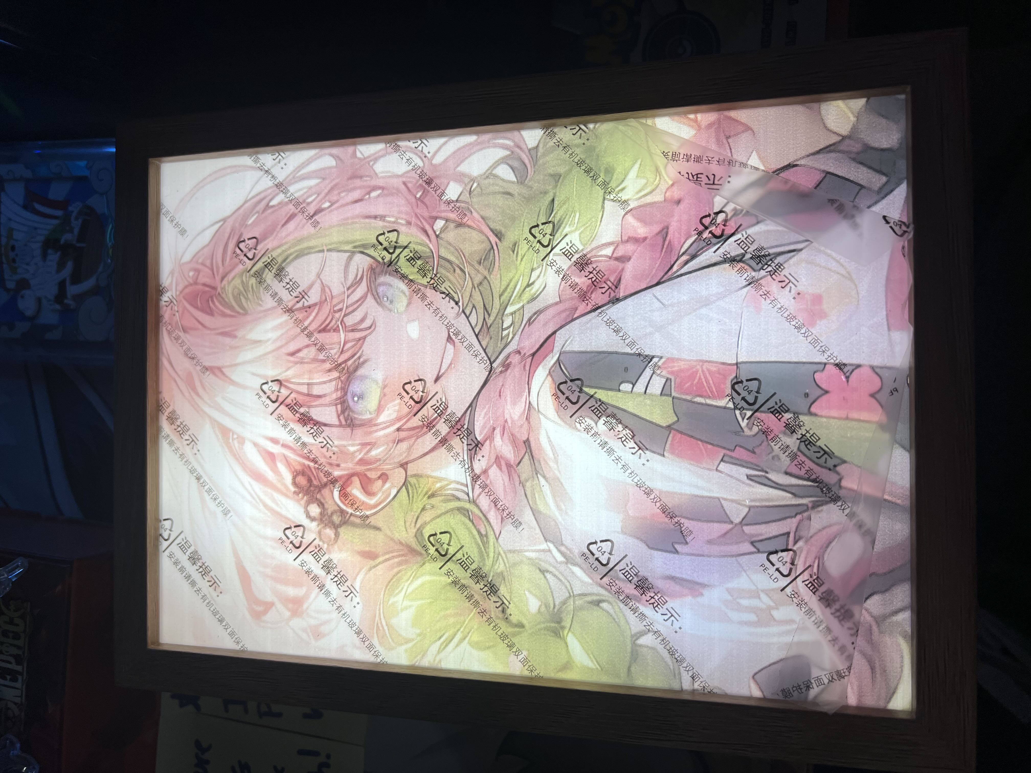 Demon Slayer Mitsuri Light Frame